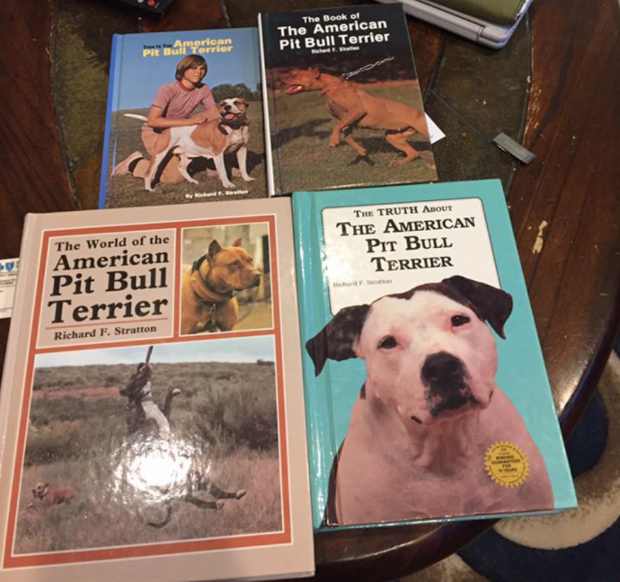 POWERFUL The Bagman APBT Modern champion 2023