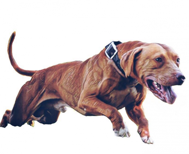 Powerful Mayday BLOODLINE | WHO HAS IT TODAY 2023