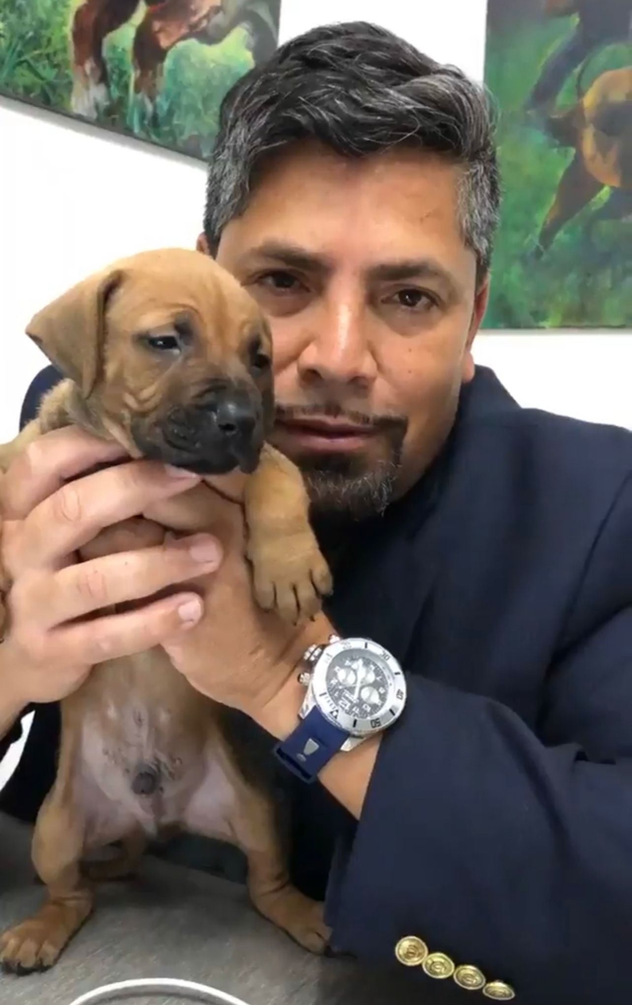 Puppies - Real Pitbulls. Red nose pitbulls, Old Family Red nose Pitbull ...