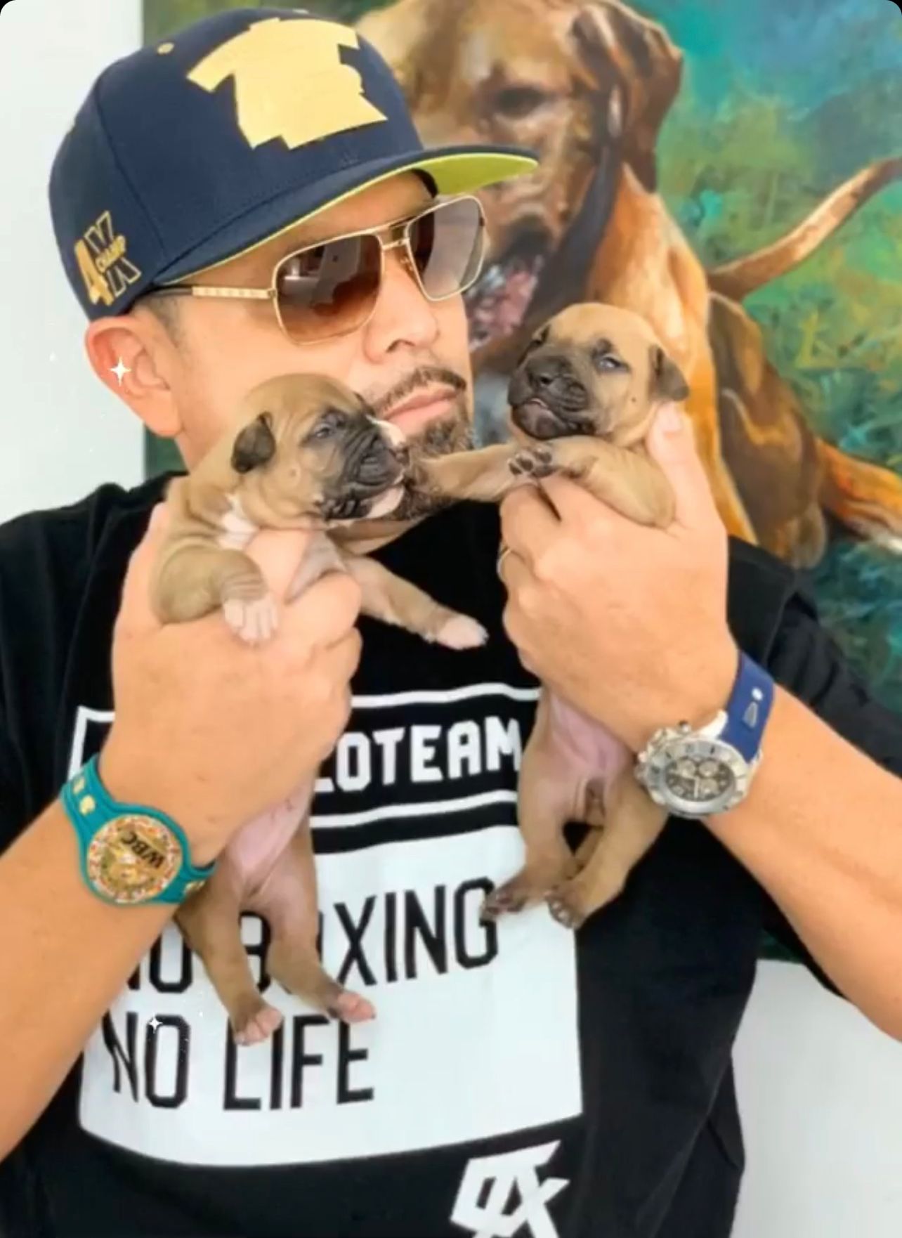 Puppies - Real Pitbulls. Red nose pitbulls, Old Family Red nose Pitbull ...