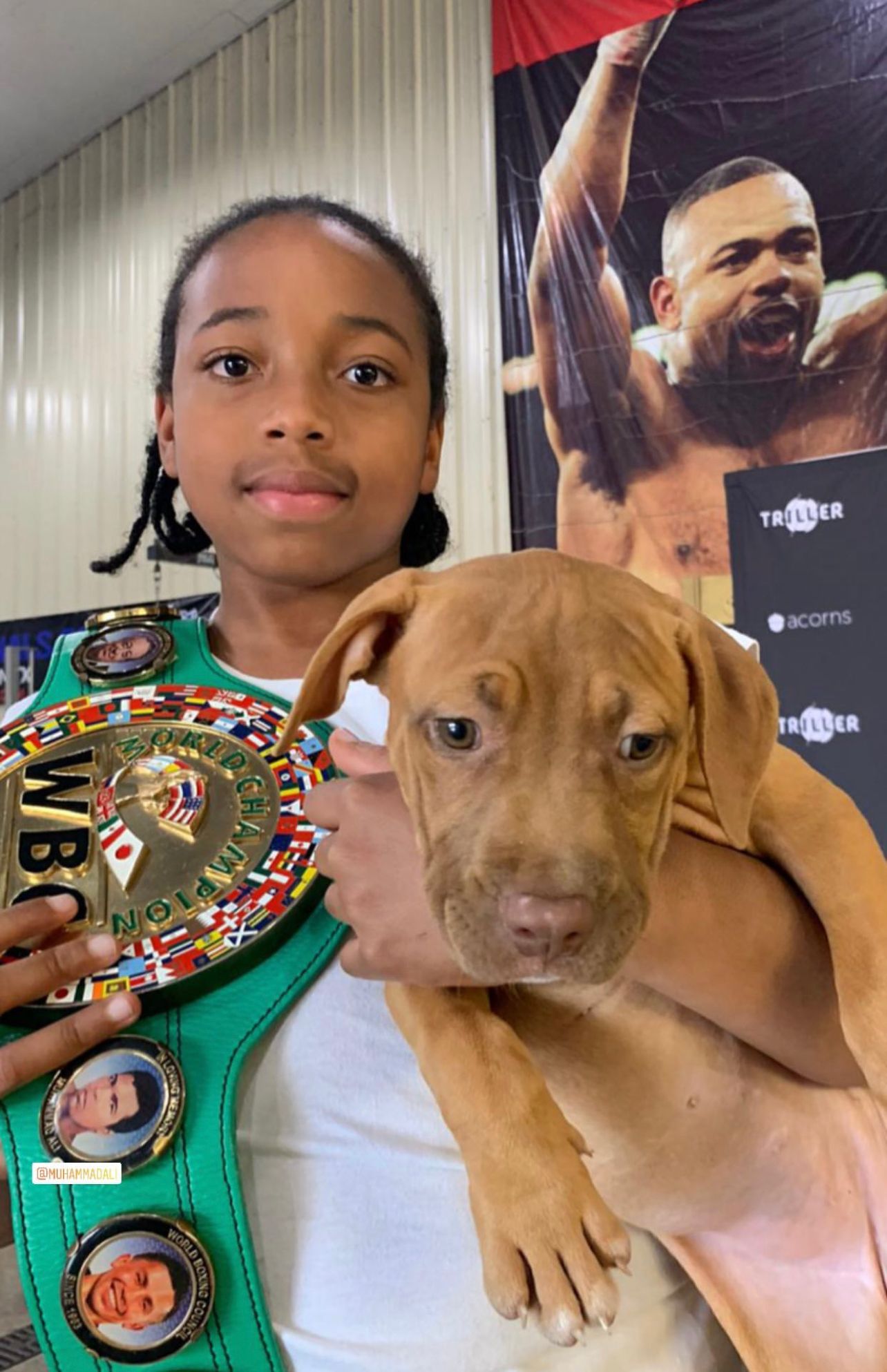 Puppies - Real Pitbulls. Red nose pitbulls, Old Family Red nose Pitbull ...