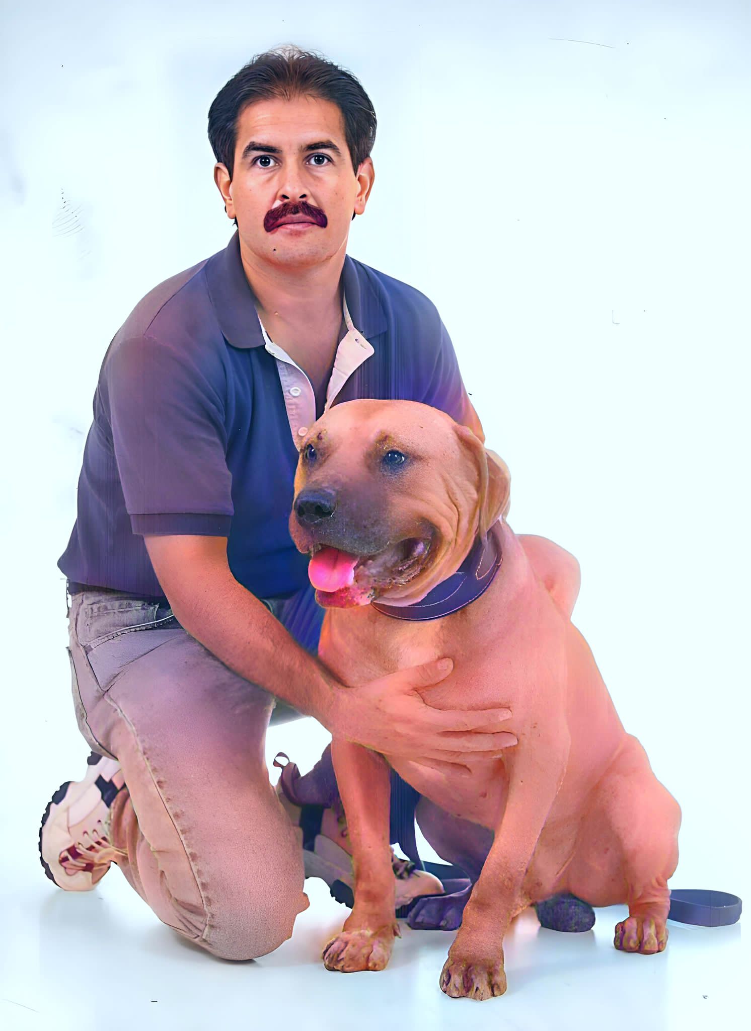 Powerful Grand champion Mayday ROM, Puppies available 2023