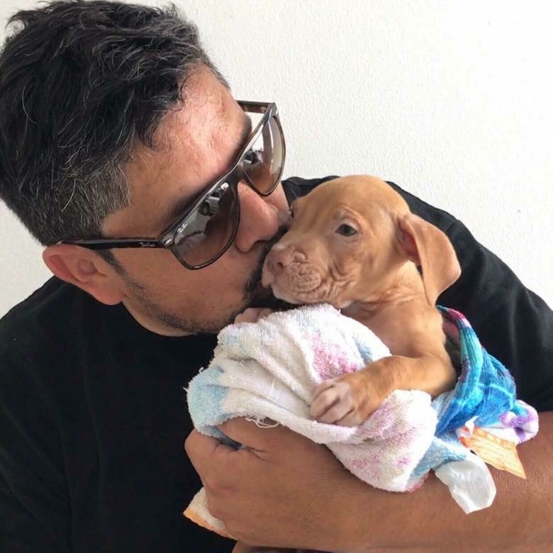 Trusted Texas Pitbull Breeder | Powerful Red Nose Puppies #1