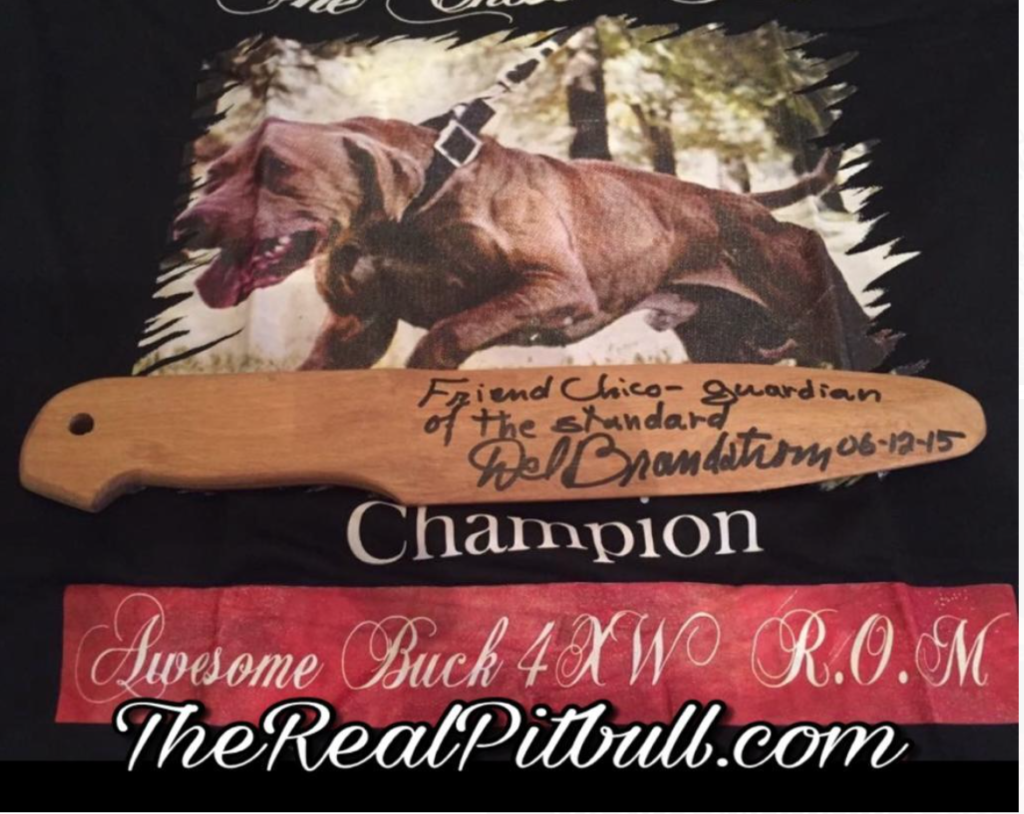 APBT BREED STANDARD | Pitbull breed standard Powerful