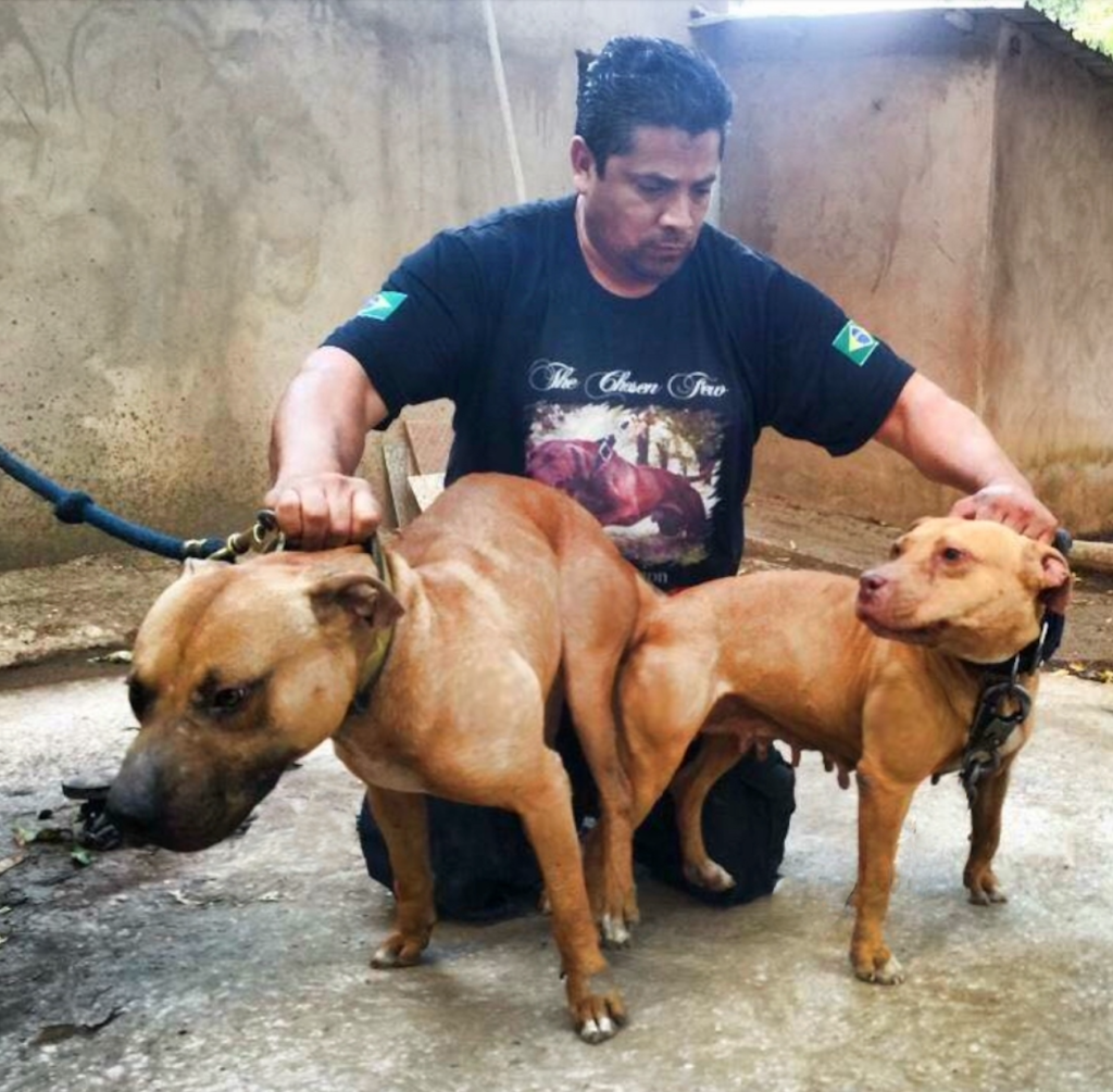 POWERFUL REAL DOGMAN | LEARN THE FACTS 2023