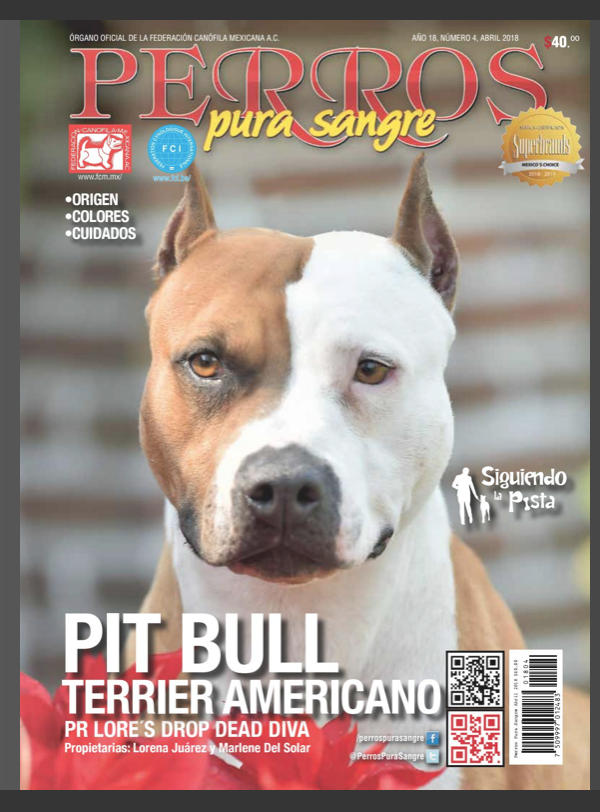 powerful PITBULL DNA, learn what you need TODAY 2023