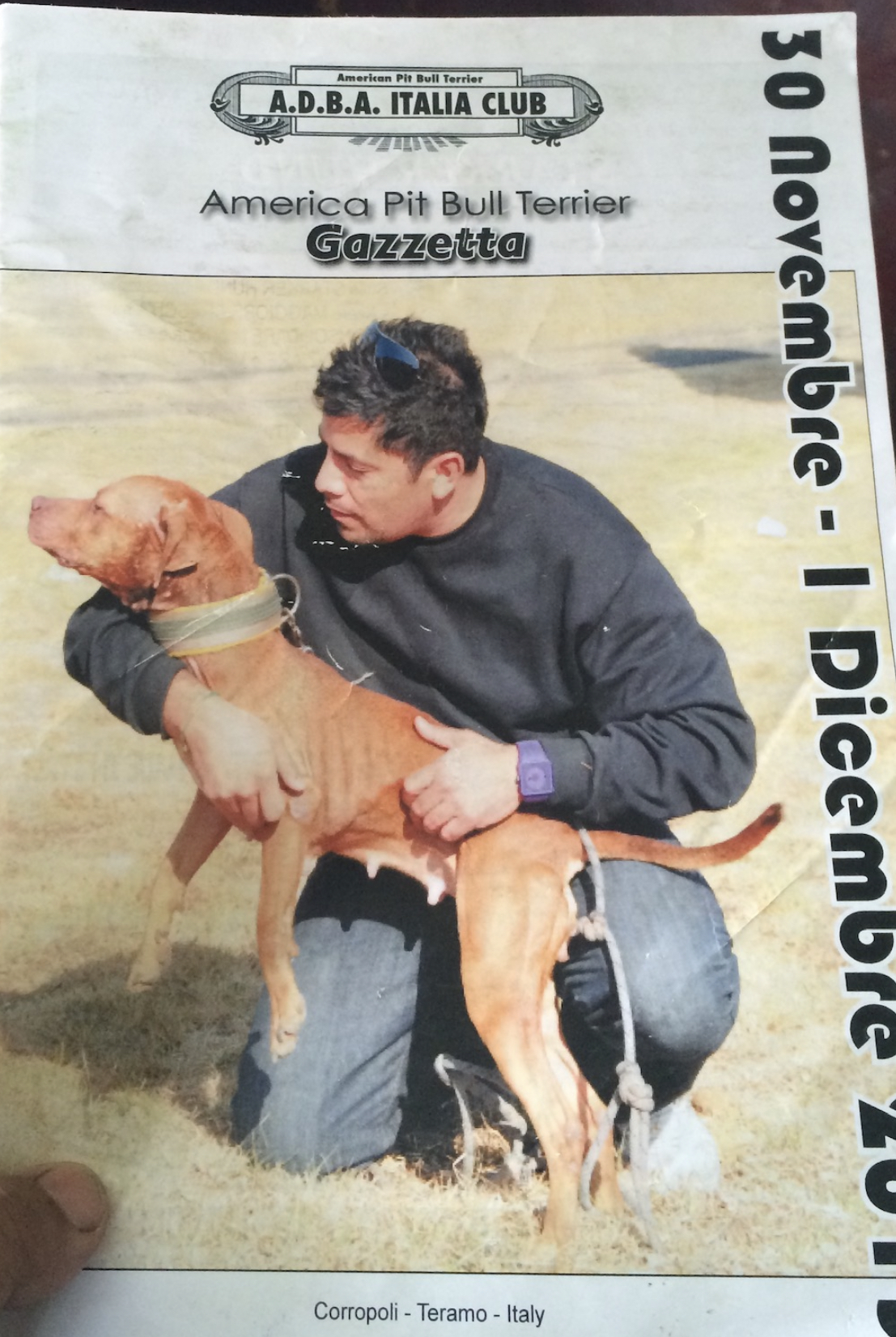 Strong Pitbull Frequently Asked Questions + 806-500-5552